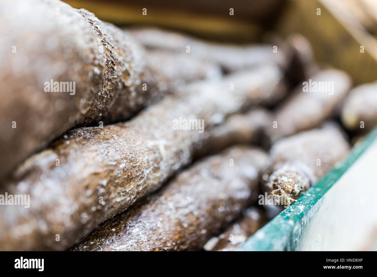 Mandioca roots hi-res stock photography and images - Alamy