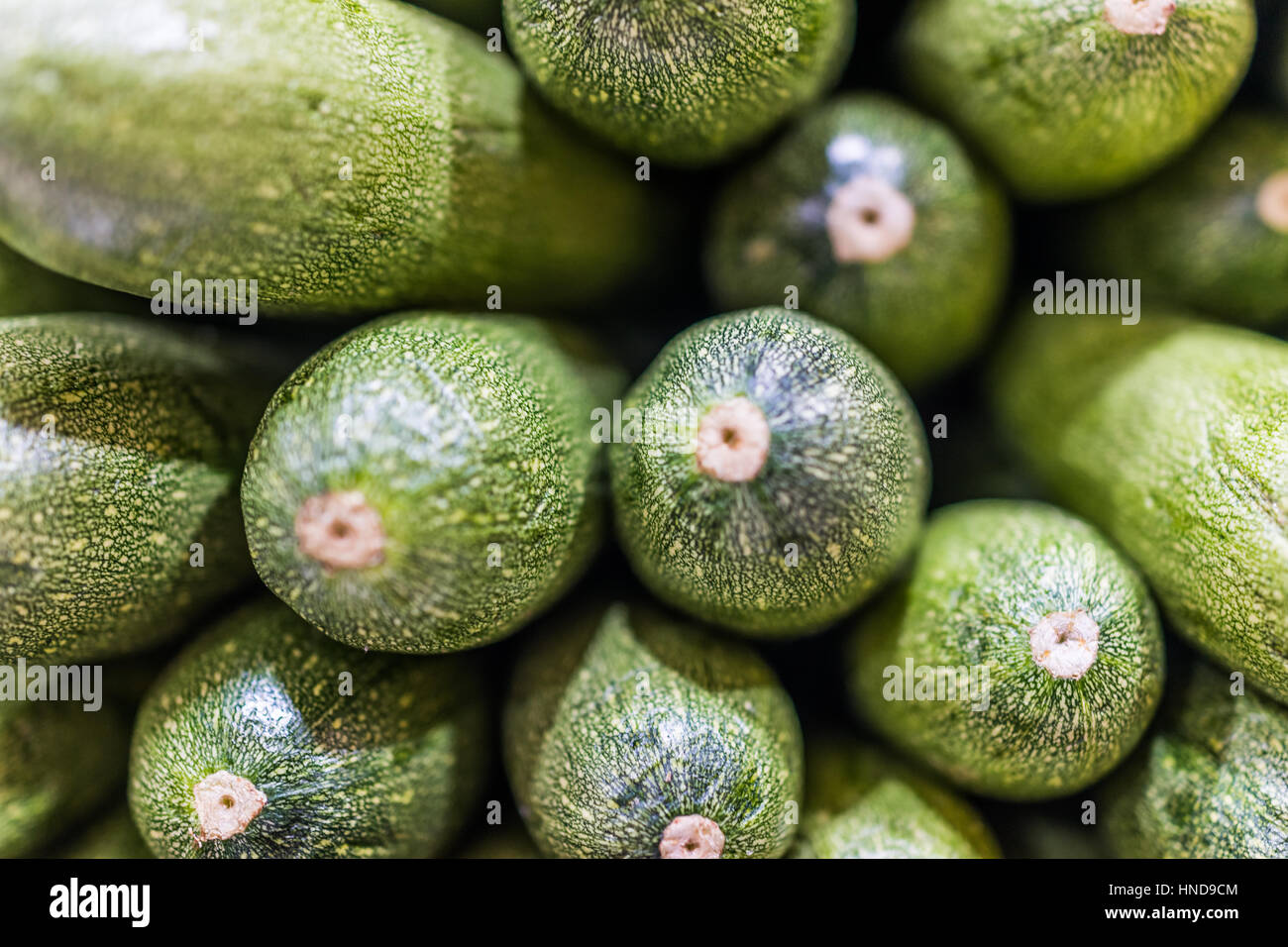 Mexican gray squash macro closeup Stock Photo - Alamy