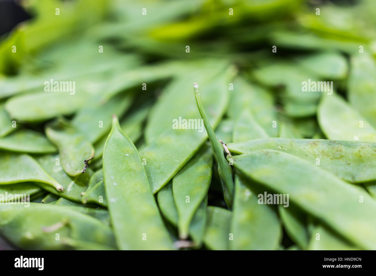 Bunch of sweet peas hi-res stock photography and images - Alamy
