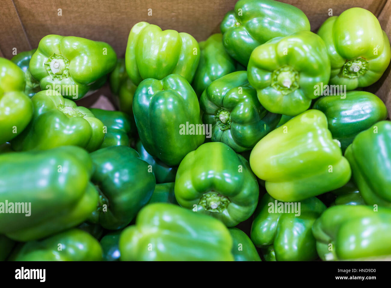 Green capsicum in box hi-res stock photography and images - Alamy
