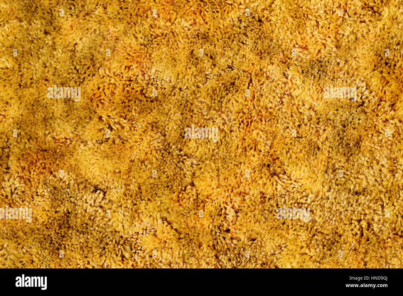 Gold carpet hi-res stock photography and images - Alamy
