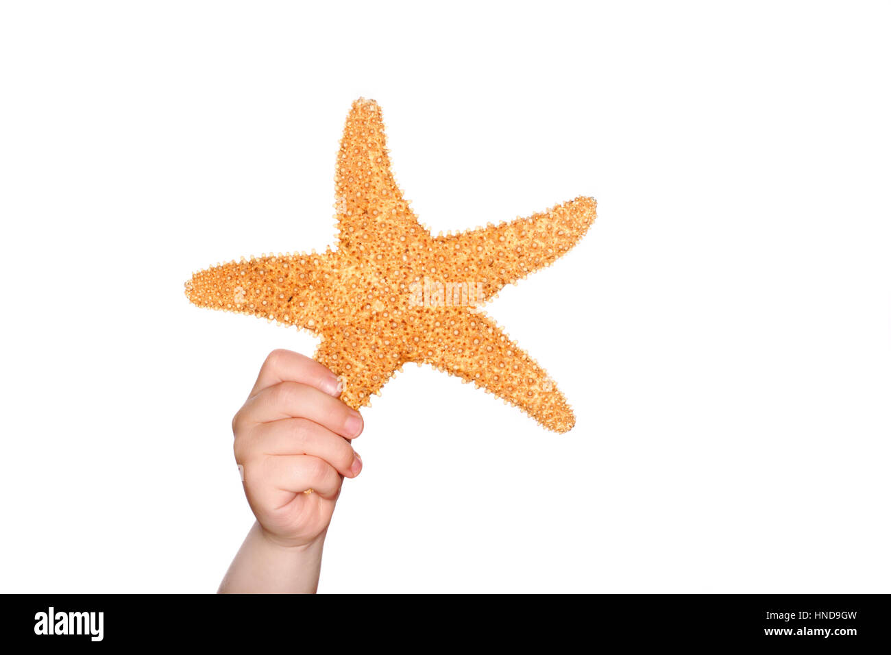 A young boy holds up a starfish Stock Photo - Alamy