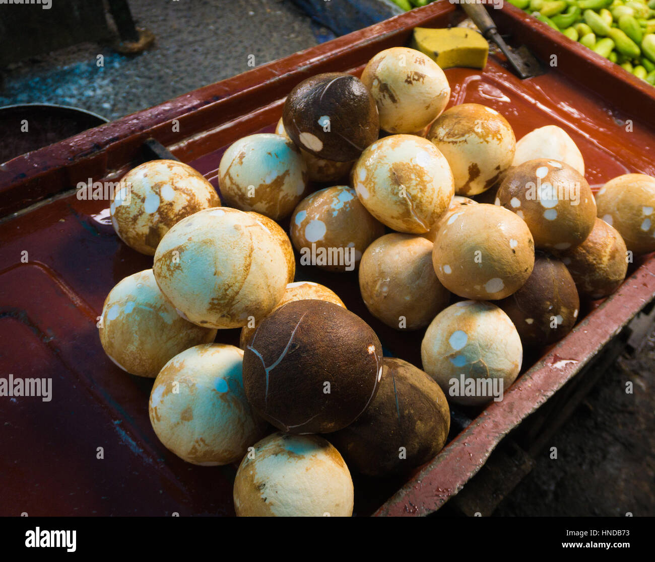 Peeled coconuts sold on a wood box photo taken in Bogor Indonesia Stock ...
