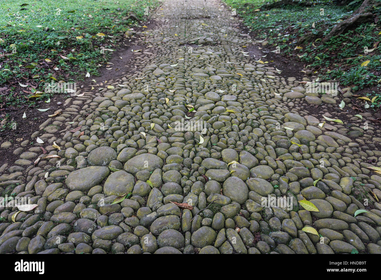 a natural footpath made from rocks and gravels photo taken in Kebun ...
