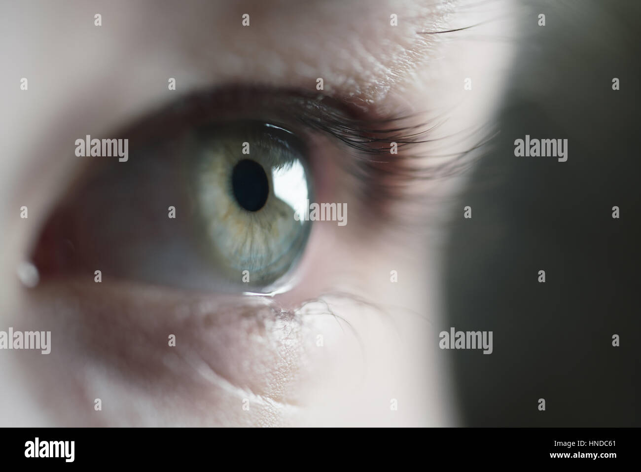 Closeup of teenage girl eye without makeup looking straight, macro shot ...