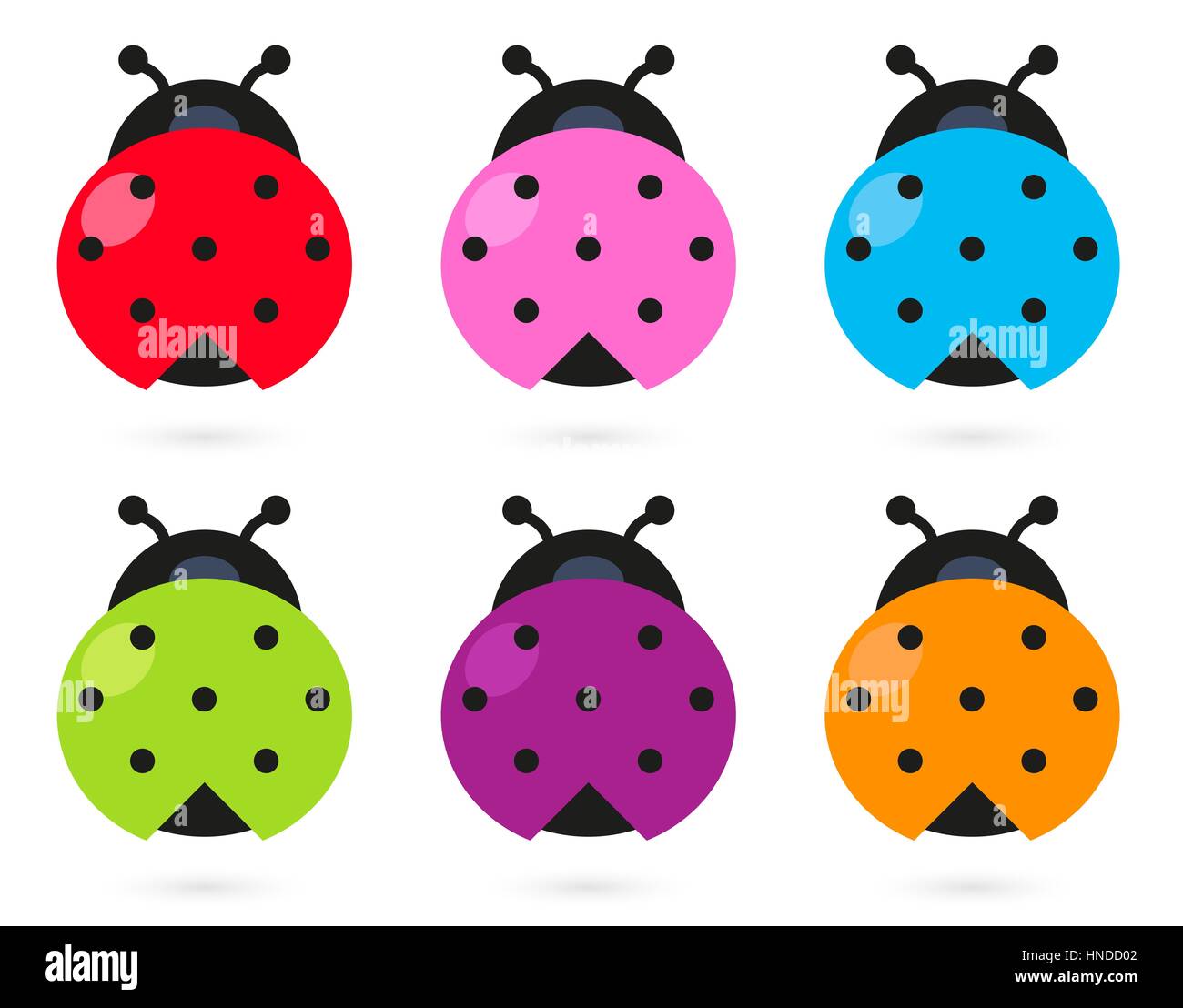 Stylized colorful ladybugs collection / 6 x bugs Stock Photo - Alamy