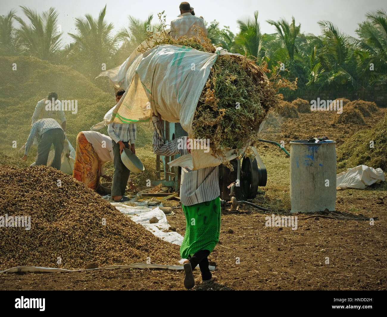 Extended family india hi-res stock photography and images - Alamy