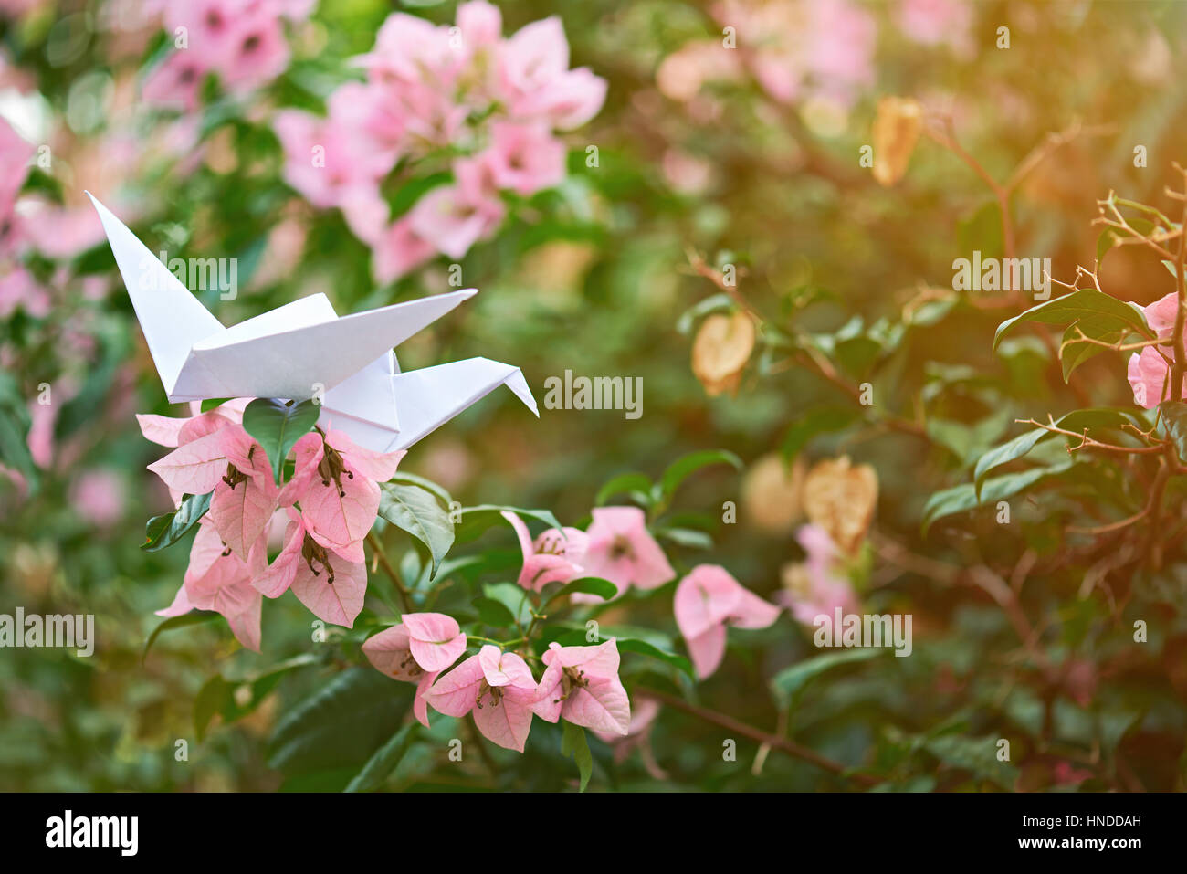 Paper origami on flower branch. Close up of one origami crane sit in ...
