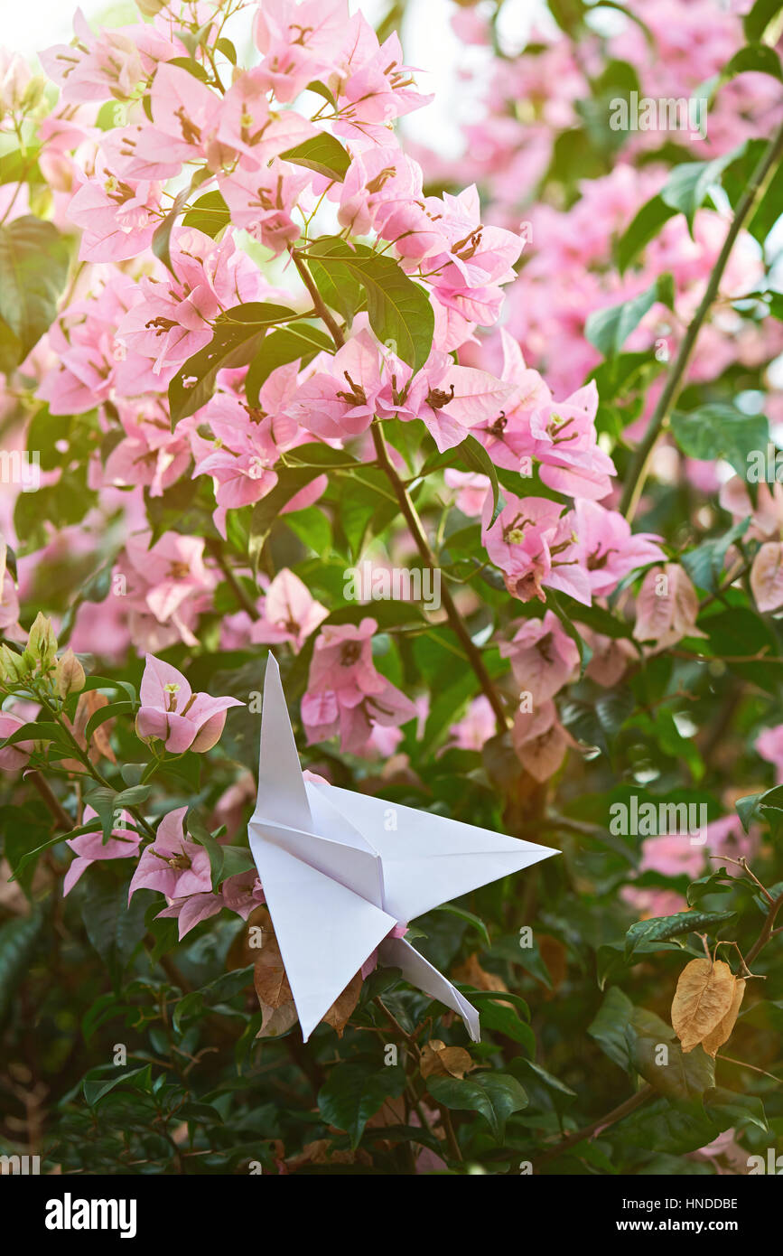 One paper crane origami in nature. Close up of white origami on sunset ...