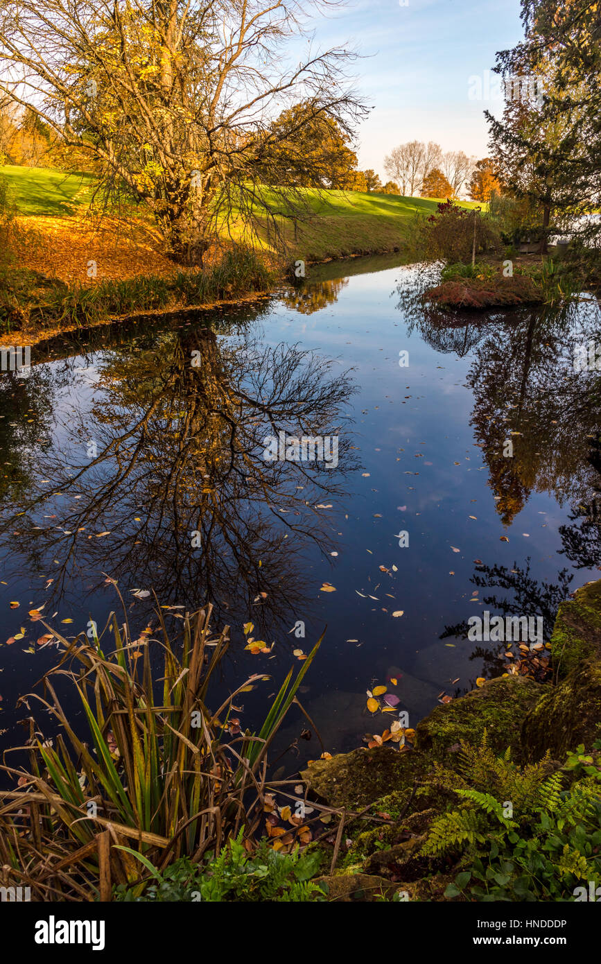 English Fall Foliage High Resolution Stock Photography and Images - Alamy