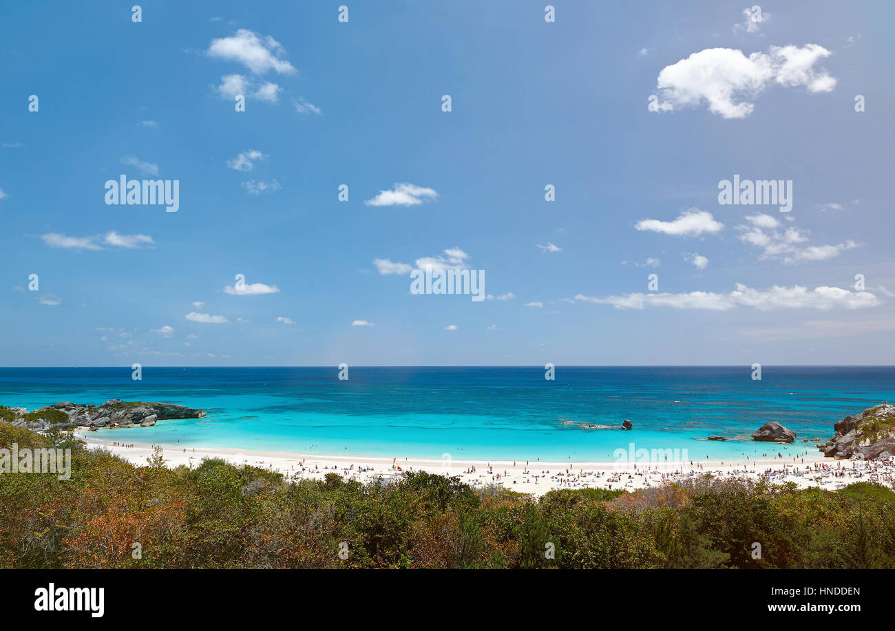 Landscape of pink sand beach in Bermuda island on sunny day Stock Photo ...