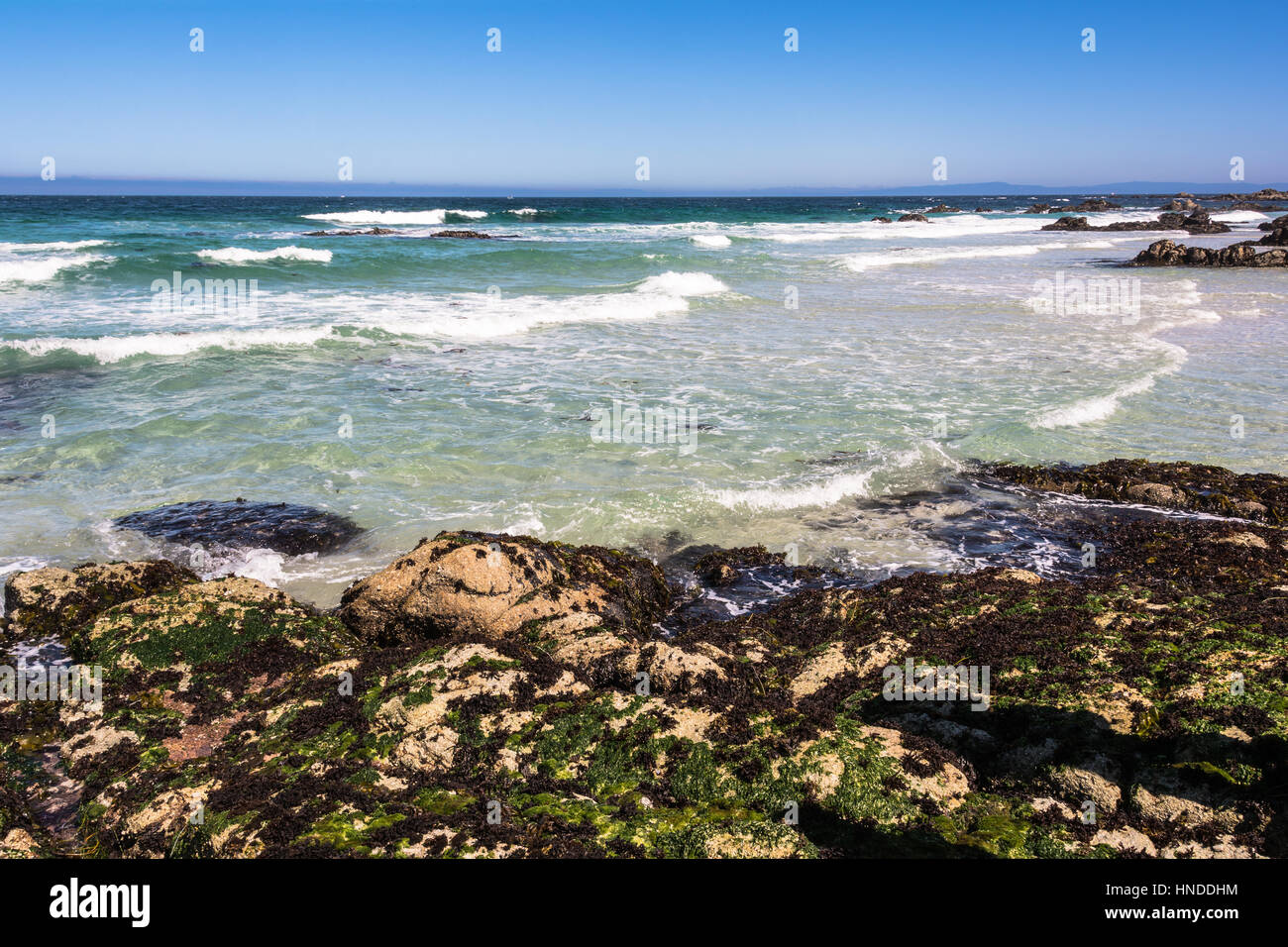 Monterey waves surf hi-res stock photography and images - Alamy