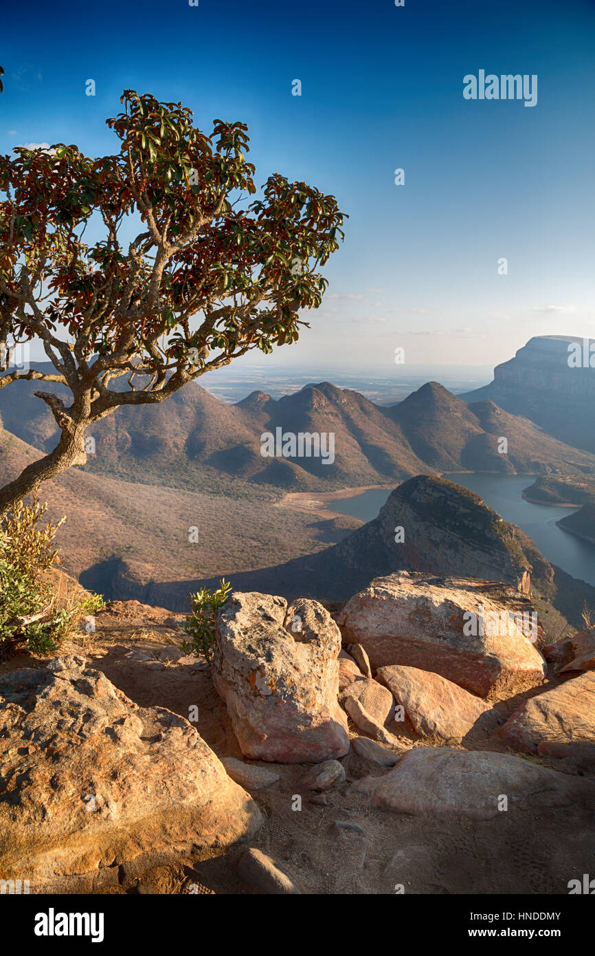 blur in swaziland mlilwane wildlife nature reserve mountain and tree ...