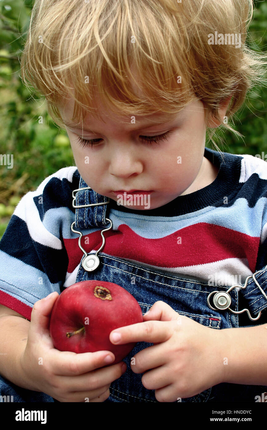 a young boy looks at an apple with a worm hole Stock Photo - Alamy