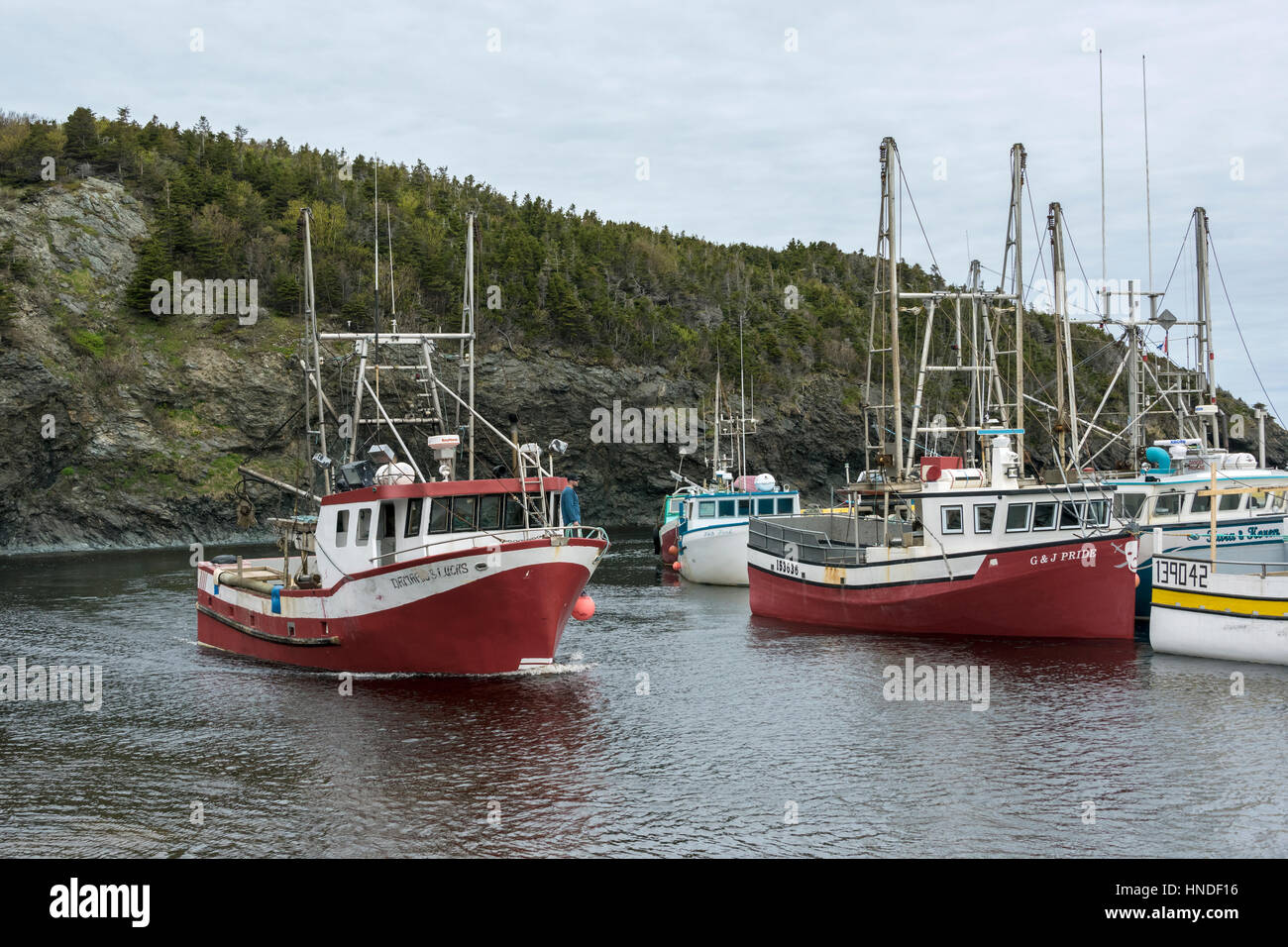 Seiners in the harbour at Trout River, Newfoundland Stock Photo - Alamy