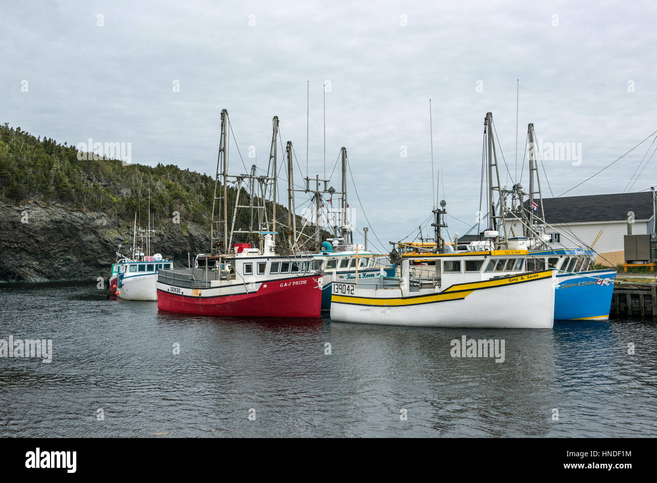Harbour entrance with seiners, Trout River, Newfoundland Stock Photo ...