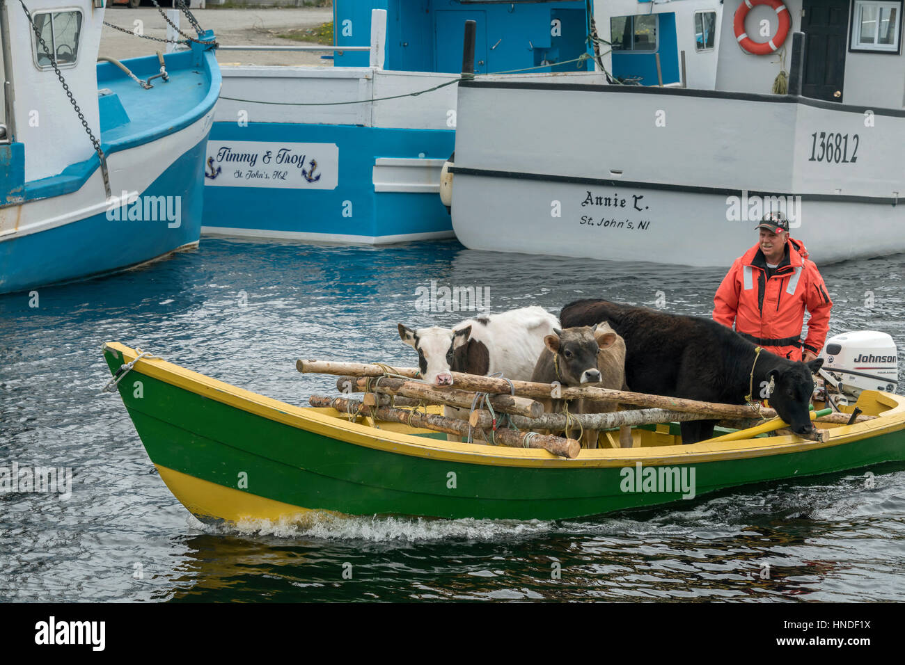 Newfoundland dory boat hi-res stock photography and images - Alamy