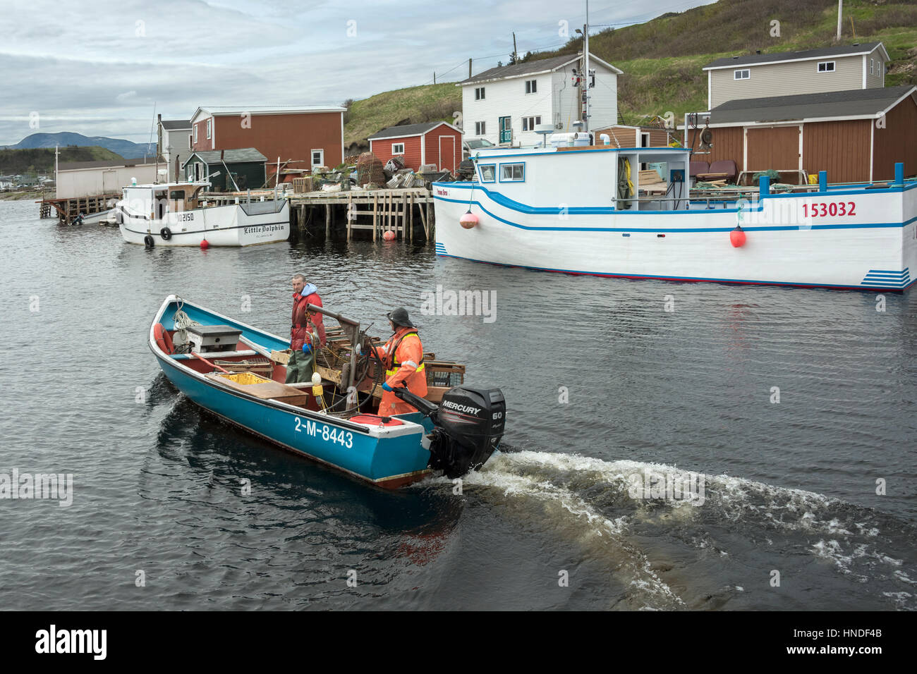 Trout River is typical of the picturesque small fishing villages in ...