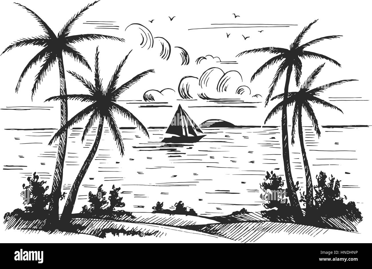 Palm trees tropical beach Black and White Stock Photos & Images - Alamy