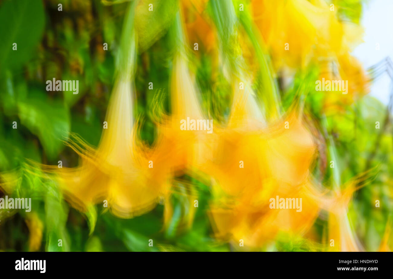 Abstract impressionism hi-res stock photography and images - Alamy