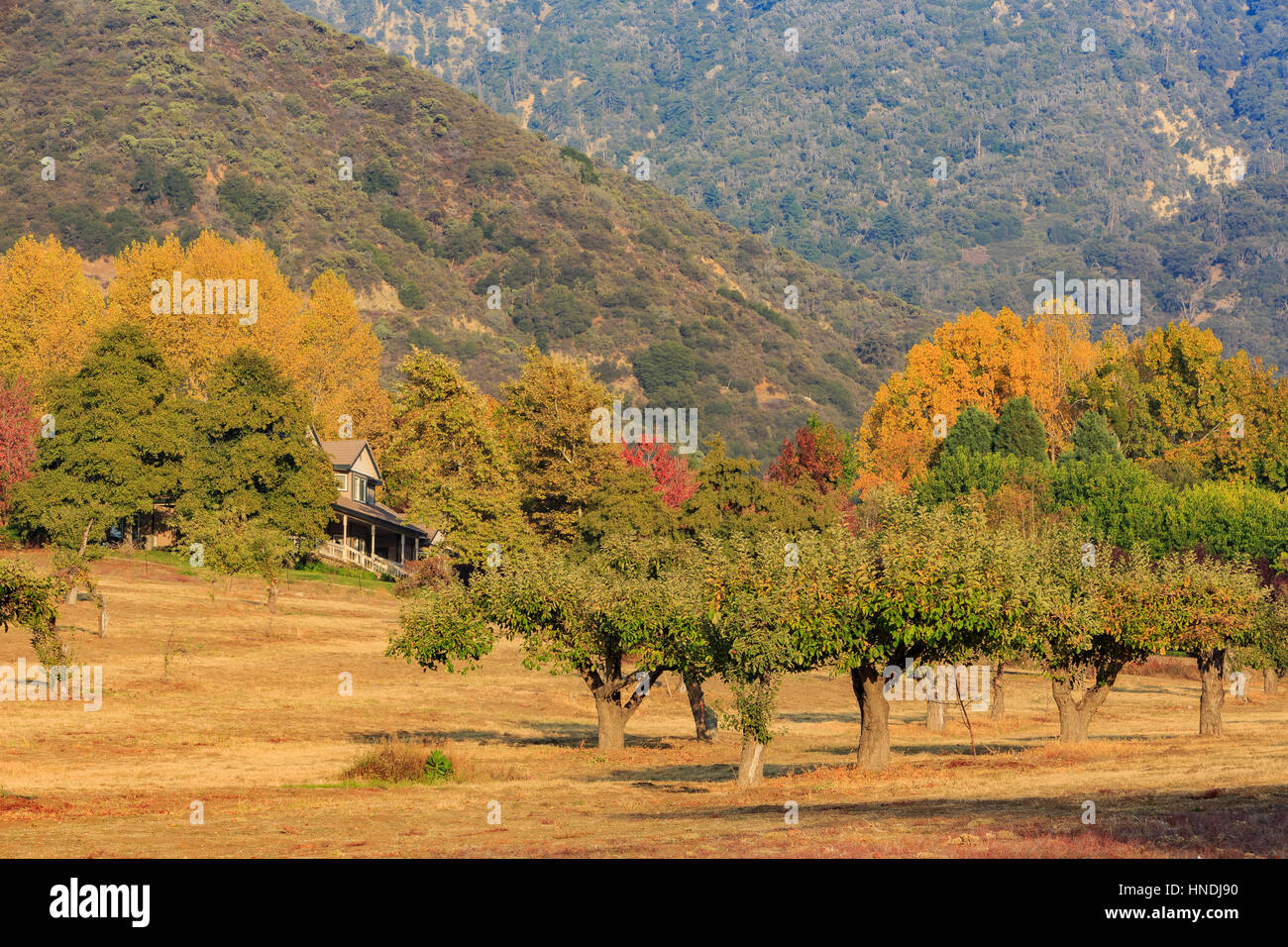 Beautiful fall color over Oak Glen area, Los Angeles County, California ...