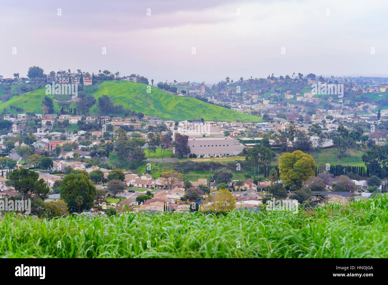 Beautiful nature landscape on Ascot Hills Park, Los Angeles, California ...