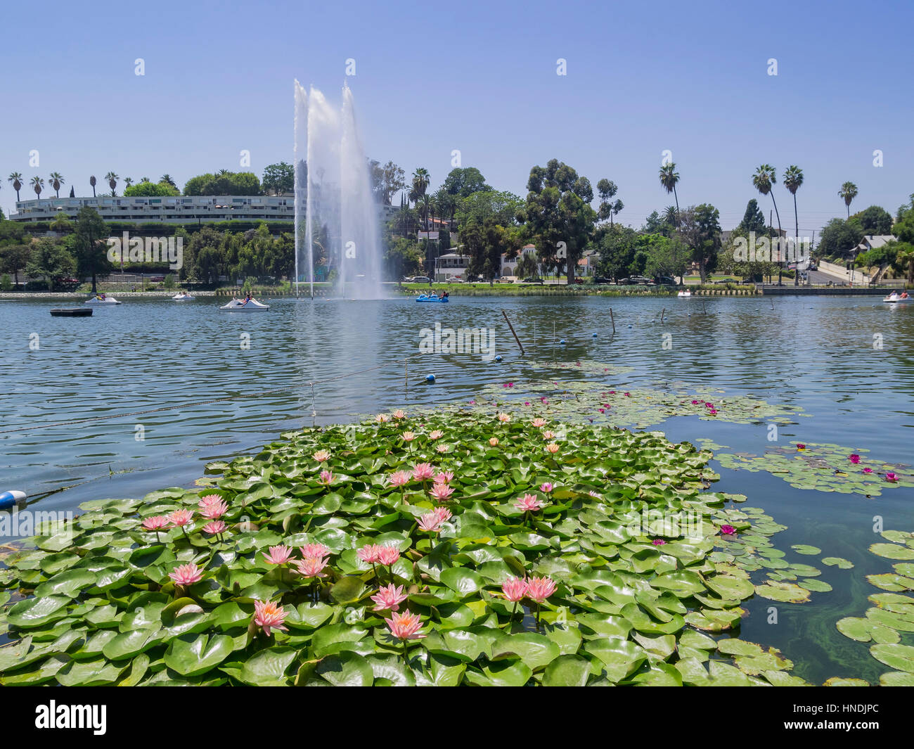 Echo park lake, los angeles hi-res stock photography and images - Alamy