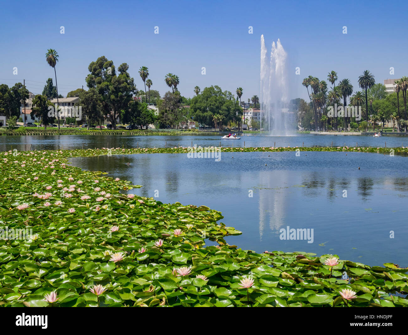 Echo park lake, los angeles hi-res stock photography and images - Alamy