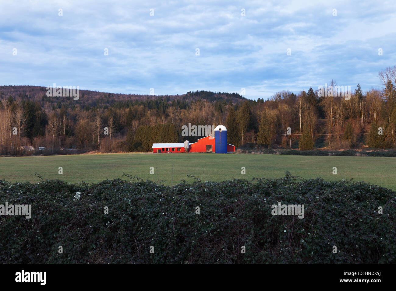 Field with red barn hi-res stock photography and images - Alamy