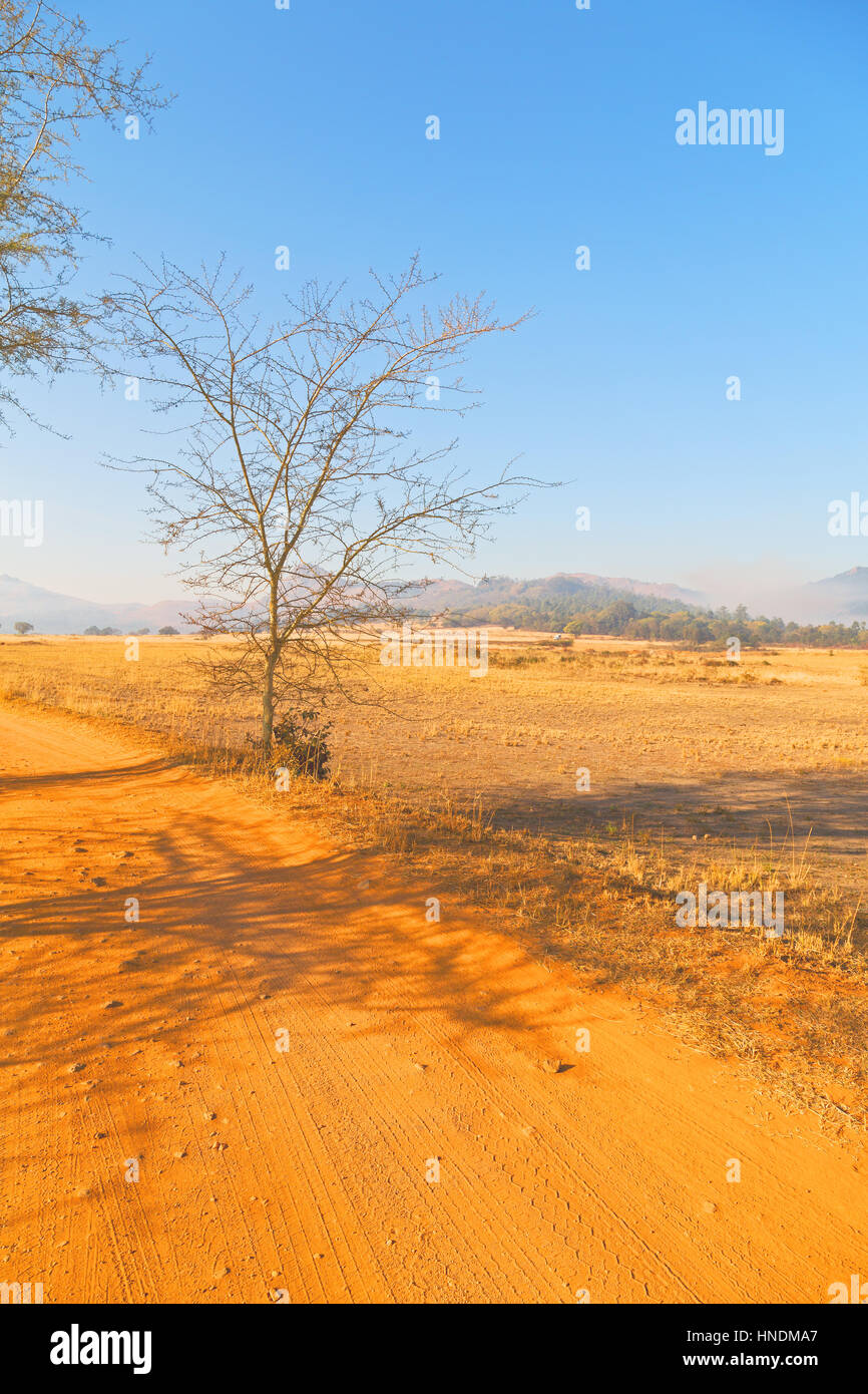 blur in swaziland mlilwane wildlife nature reserve mountain and tree ...