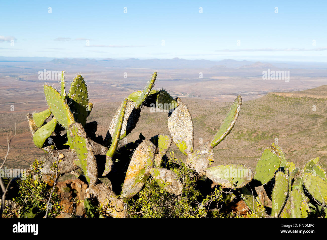 blur in south africa valley of desolation dirty road rock tree and sky ...