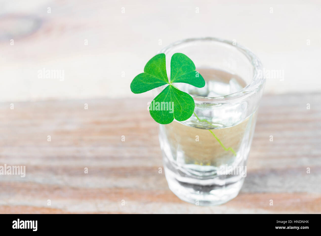 Single leaf shamrock hi-res stock photography and images - Alamy