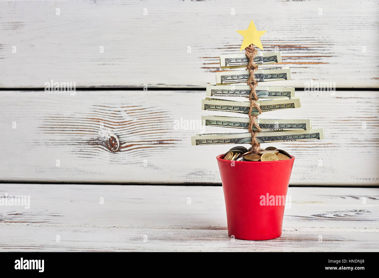 Money tree in pot Stock Photo - Alamy