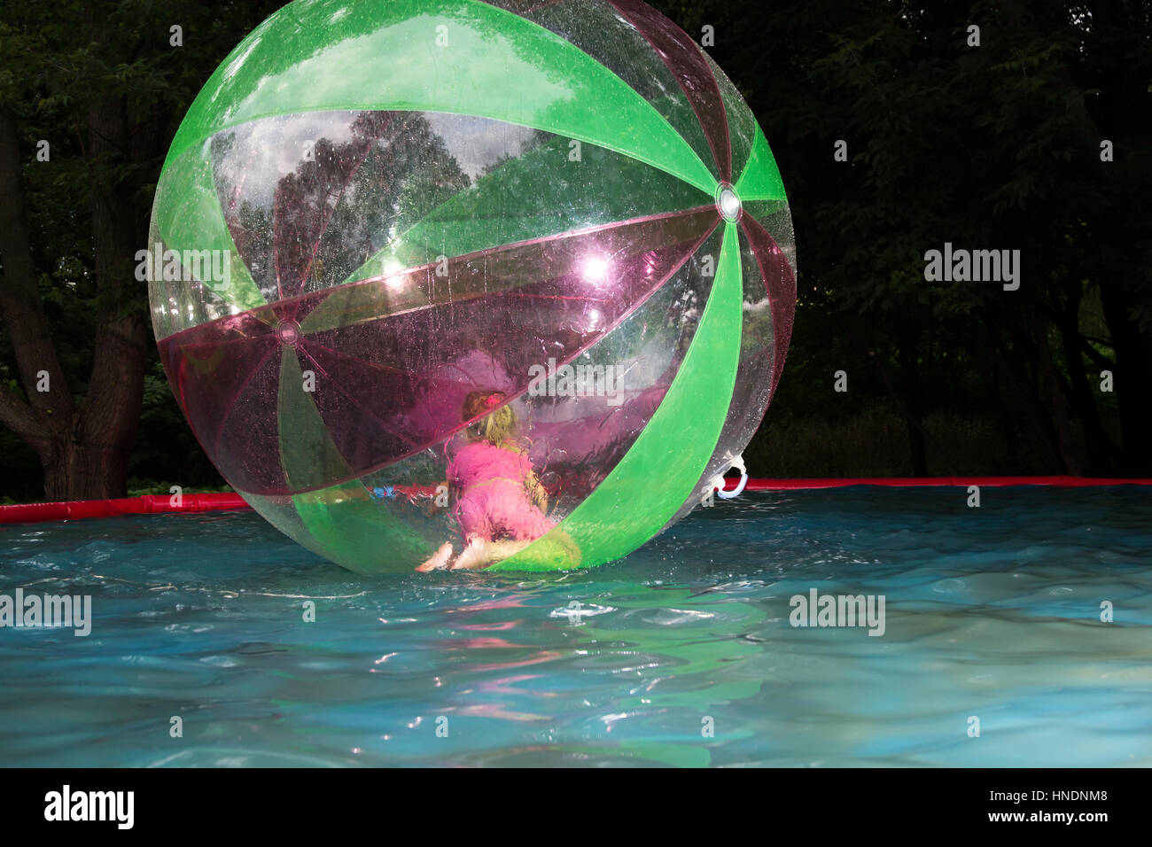little girl in a Zorb in the pool Stock Photo - Alamy