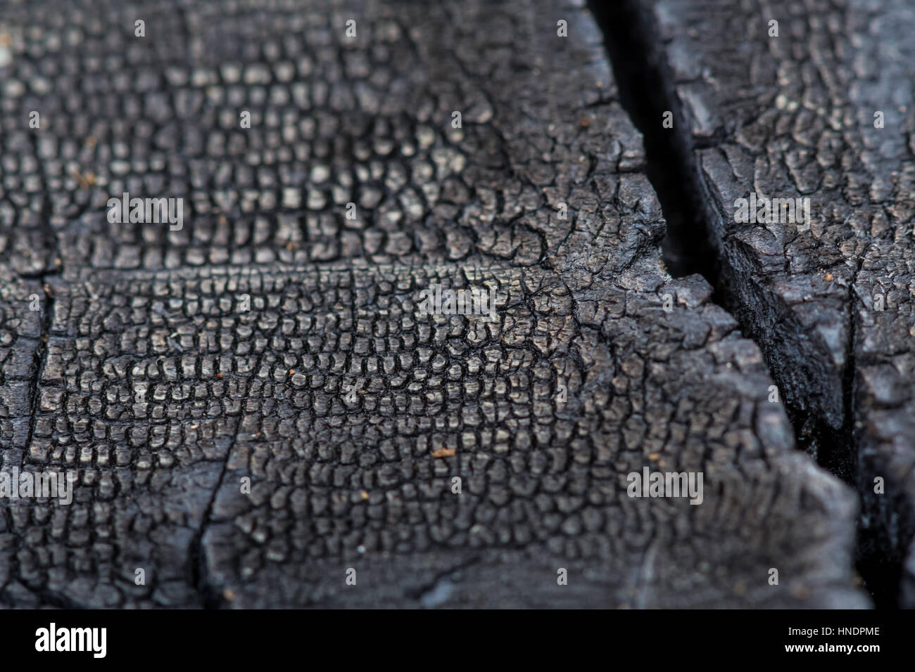 Black Char of Burned Wood with crack detail Stock Photo - Alamy