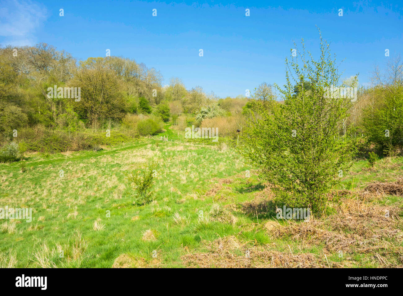 Elevated view of Wessington Pasture nature reserve Woolhope ...