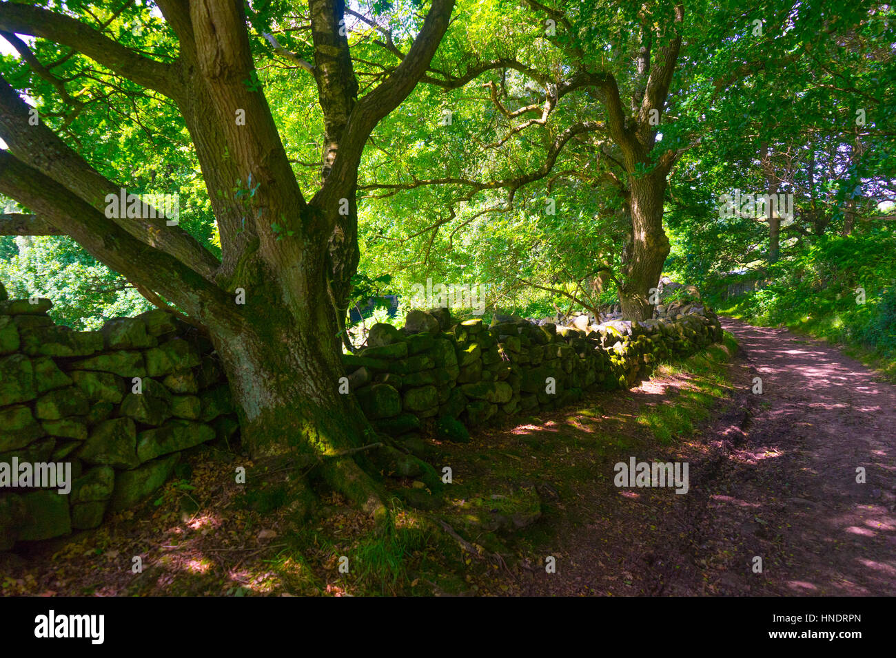Lumsdale Countryside Trail Stock Photo - Alamy