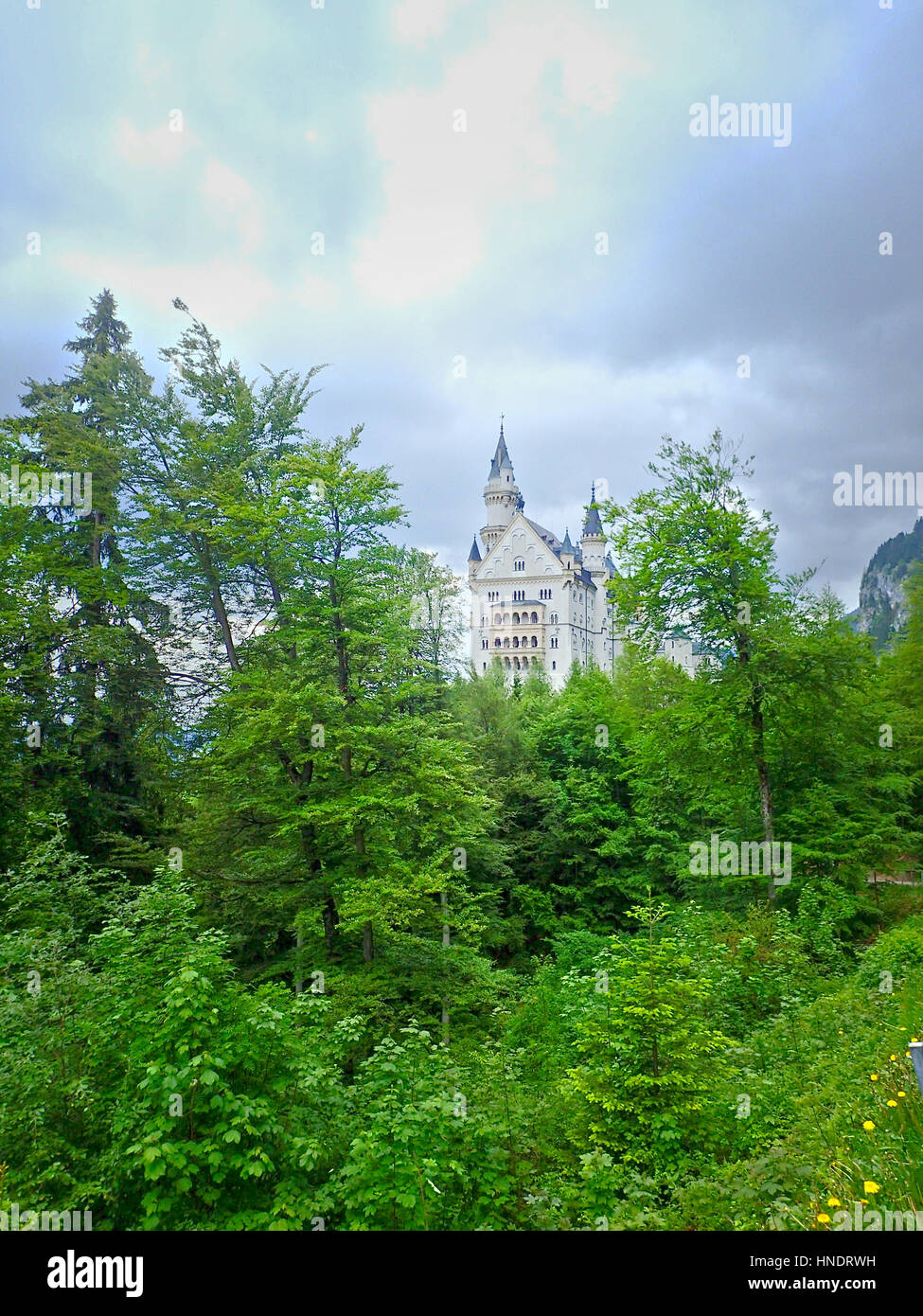 The historic white Neuschwanstein castle nestled in the forests of ...