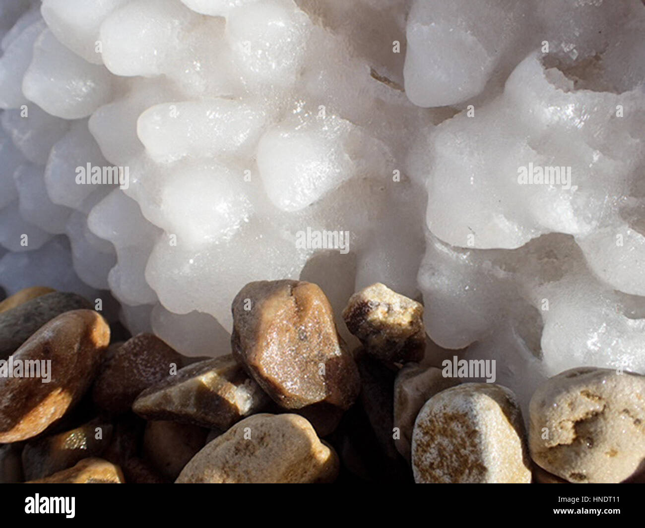 Salt dead sea hi-res stock photography and images - Alamy