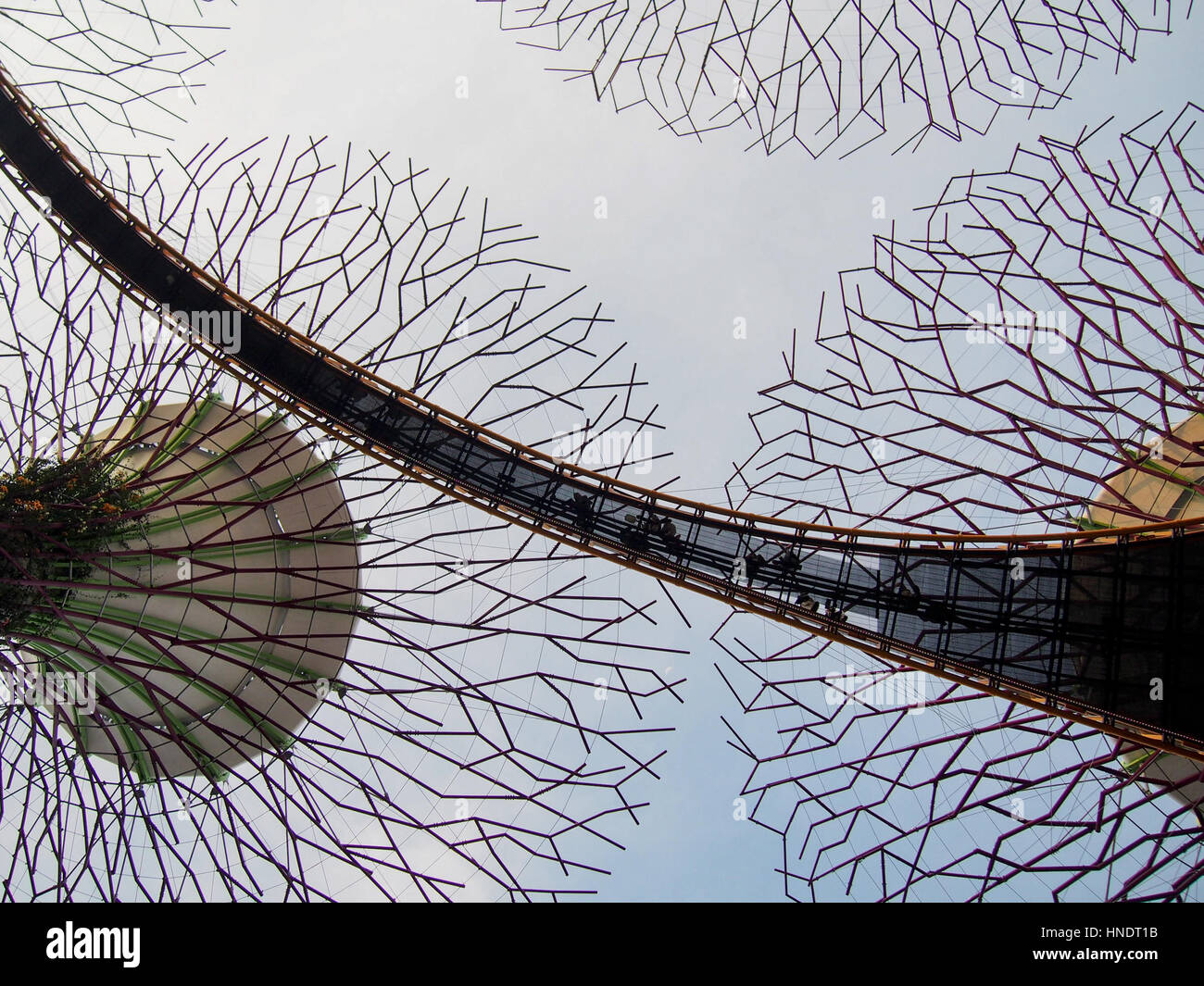 Solar-powered supertrees at Singapore's Gardens by the Bay Stock Photo ...