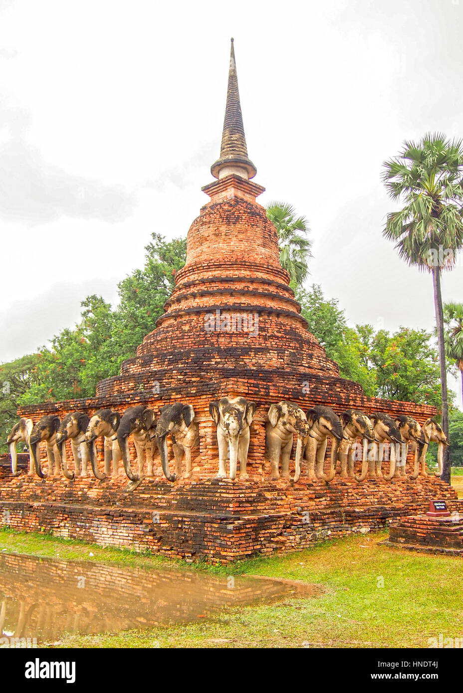 Decorated elephant thailand asia hi-res stock photography and images ...