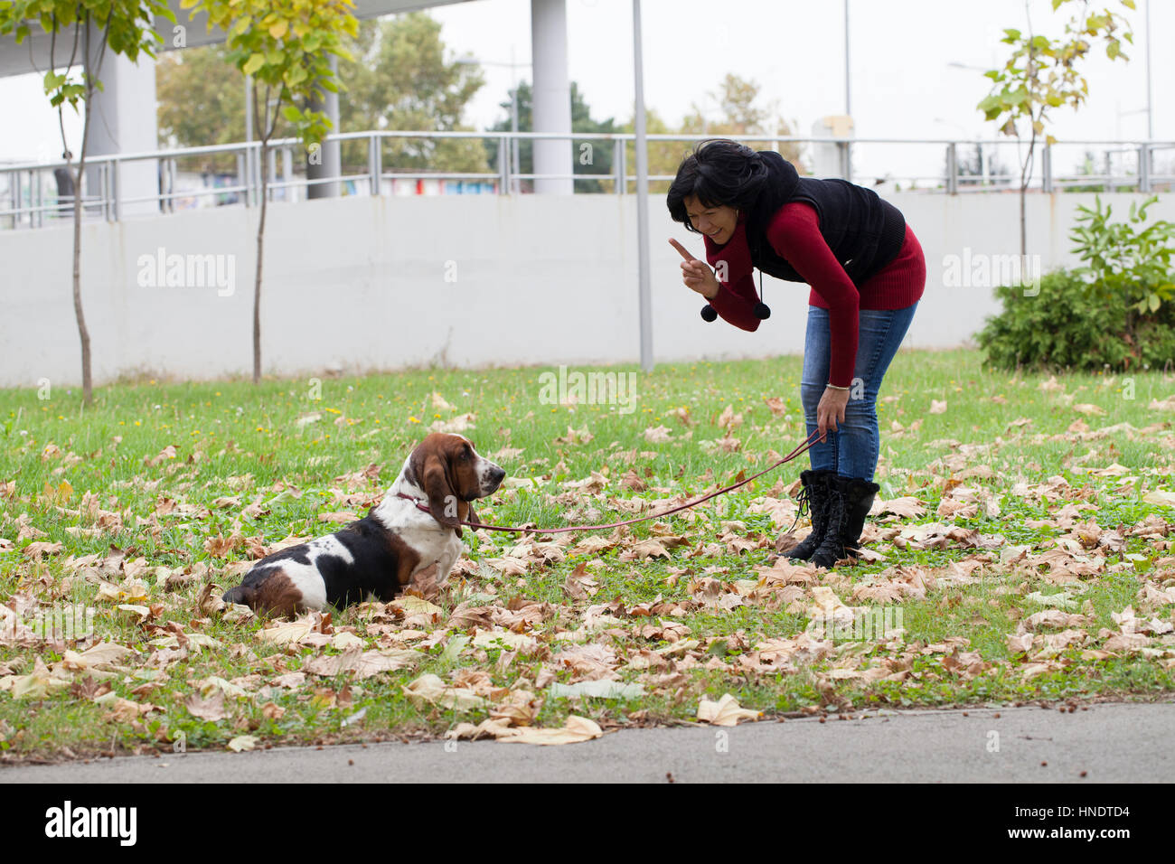 Young woman walking with her dog, Selective focus and small depth of ...