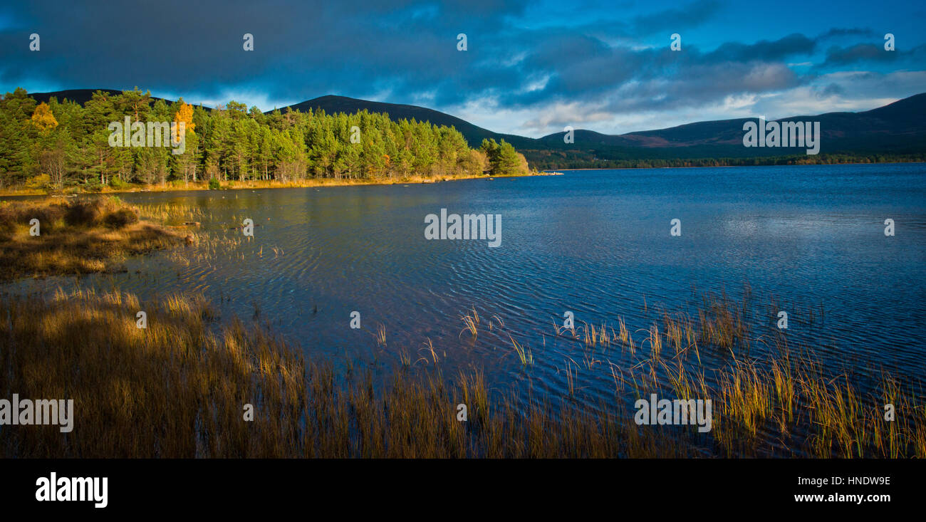 Landscape of Scotland Stock Photo - Alamy