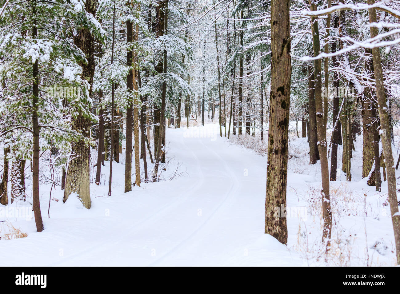 Long driveway hi-res stock photography and images - Alamy