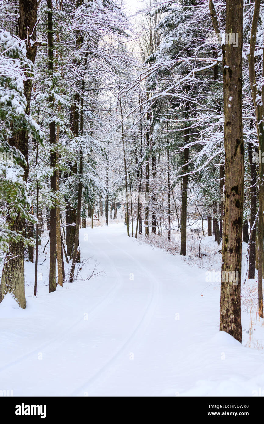 Long driveway hi-res stock photography and images - Alamy