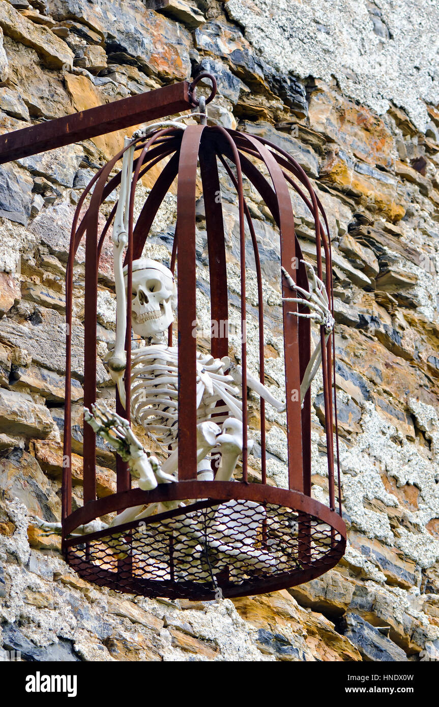 Human skeleton in a cage Stock Photo - Alamy