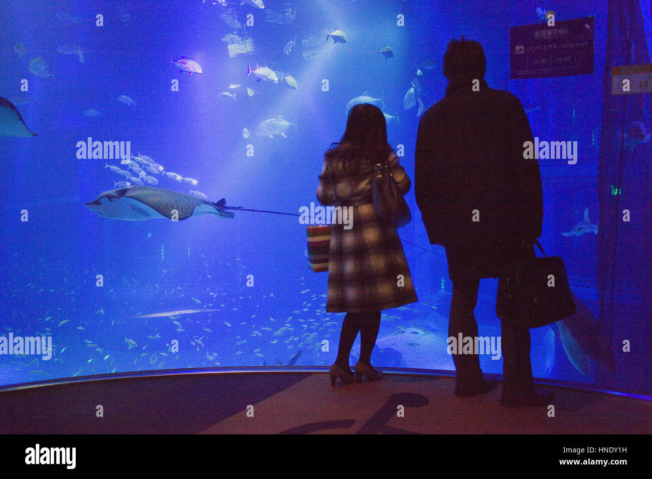 Osaka Aquarium Kaiyukan,visitors looking the massive tank,Bay area ...