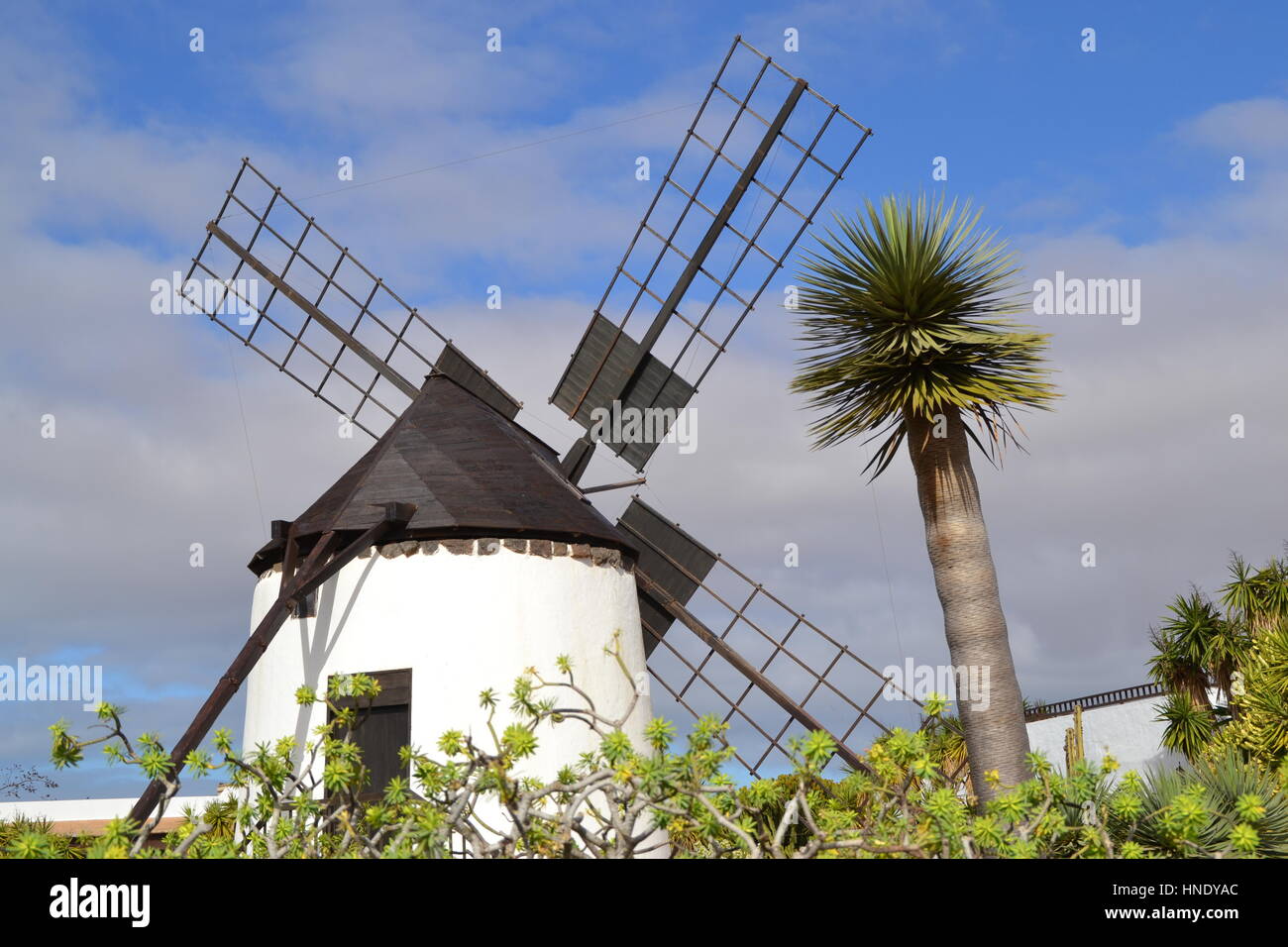 Windmill is mill that converts energy of wind into rotational energy by ...
