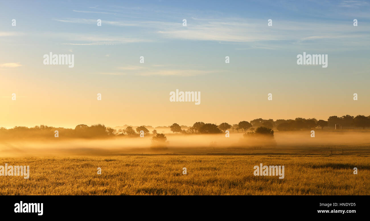 Misty sunrise on farmland. Farm pasture field covered with layers of ...