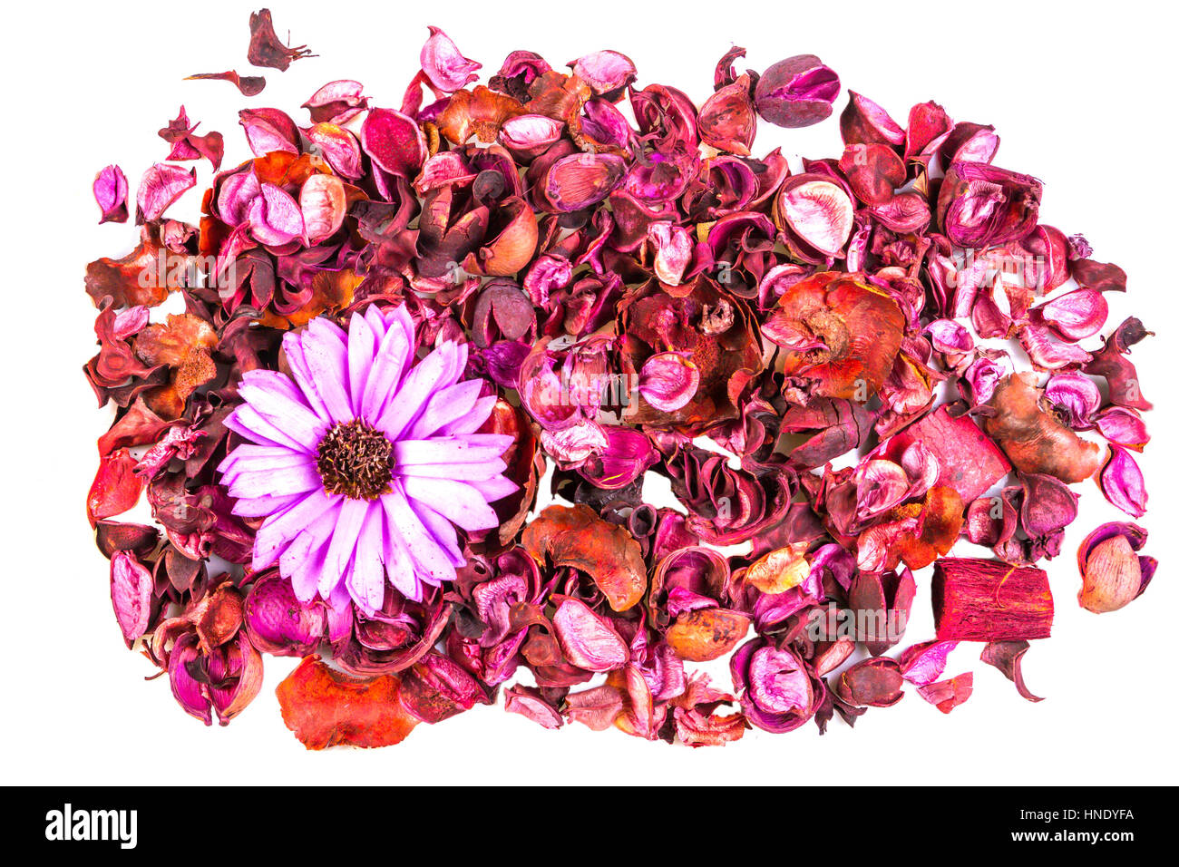 Dry flowers and leaves on white background. Top view, flat lay Stock ...